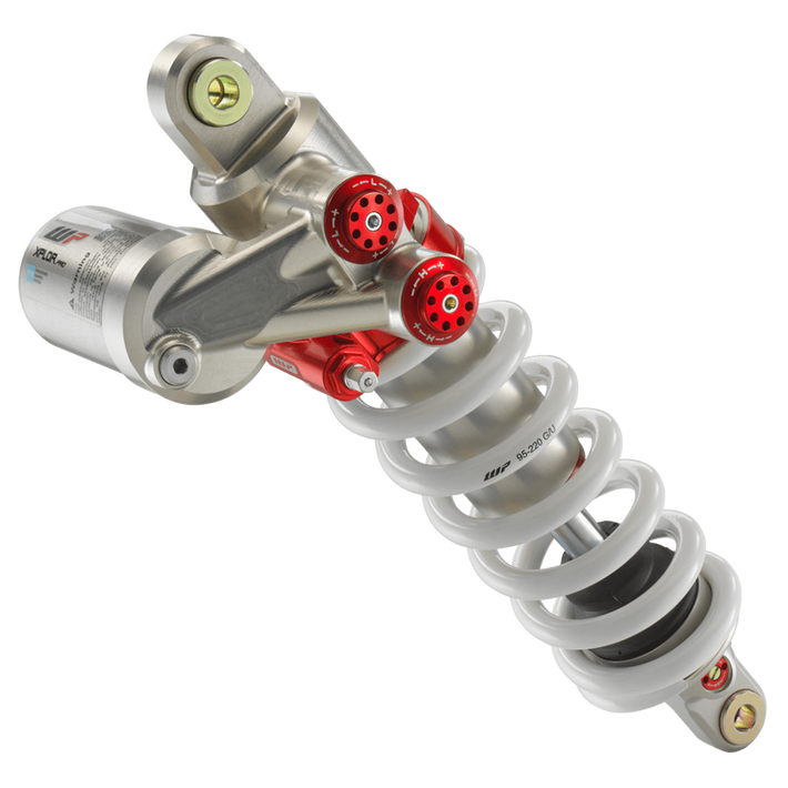 ADVENTURE – WP Tasmania